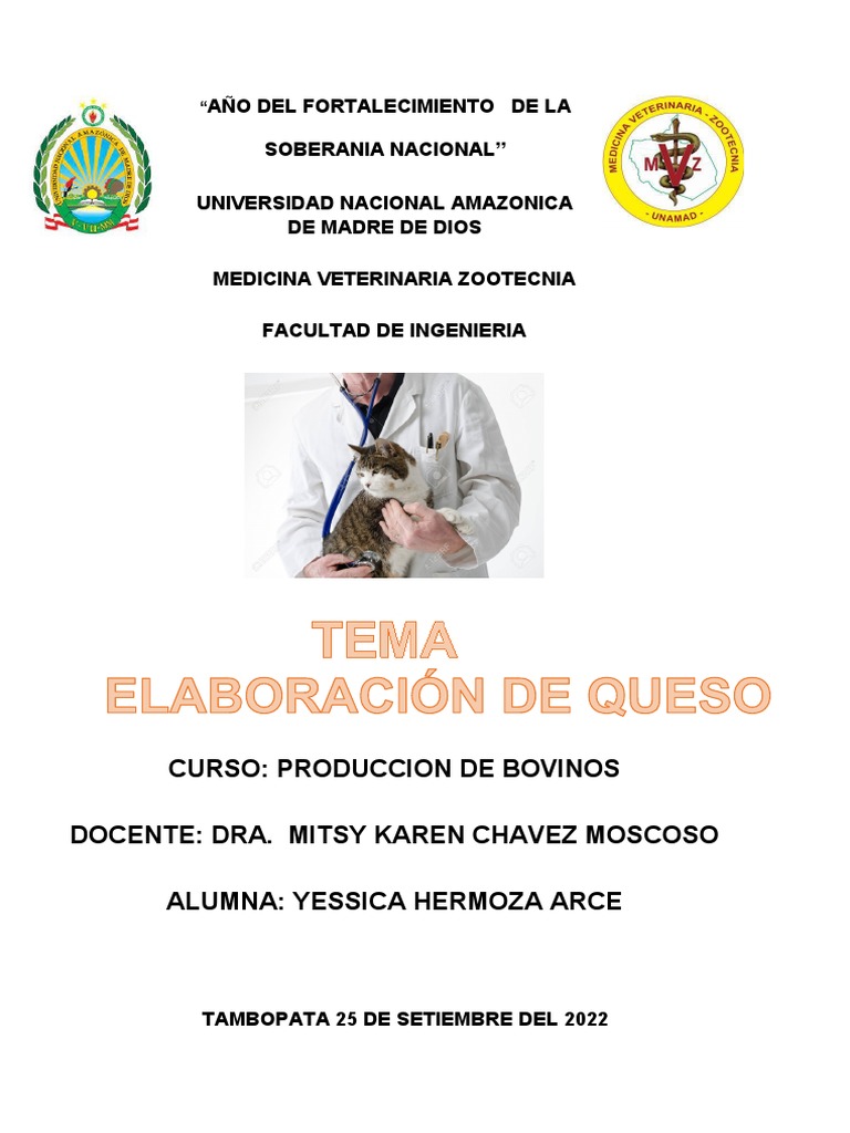 Elaboracion de Queso PDF | PDF | Queso | Leche