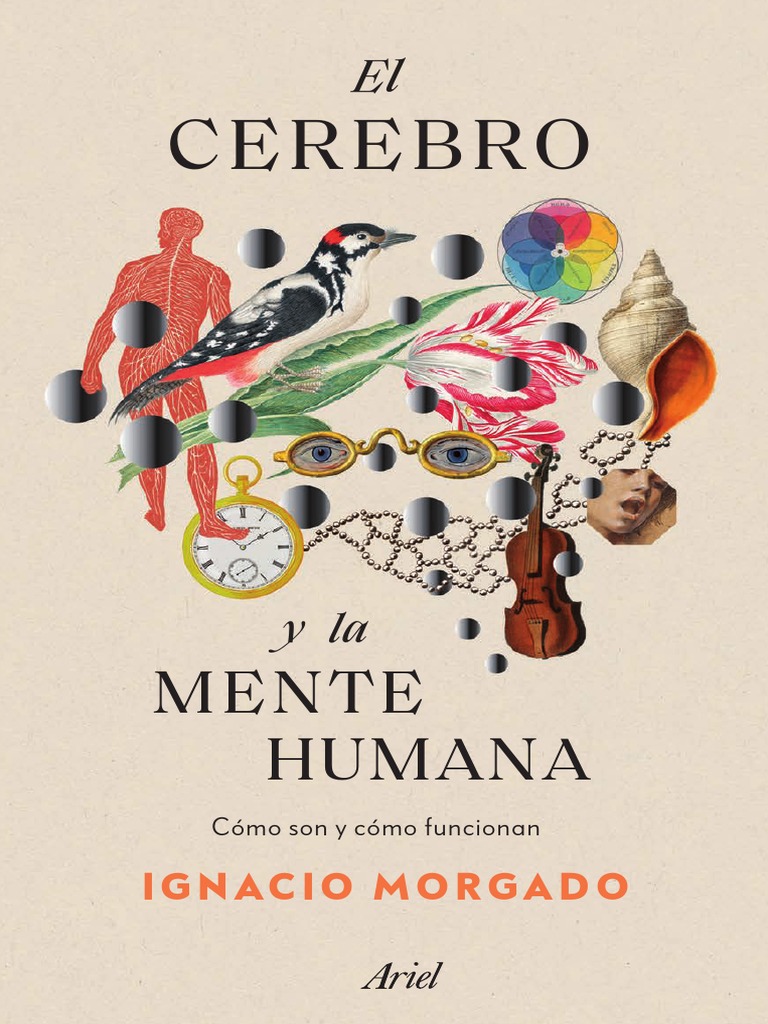 El Cerebro Y La Mente Humana Pdf Neurociencia Mente