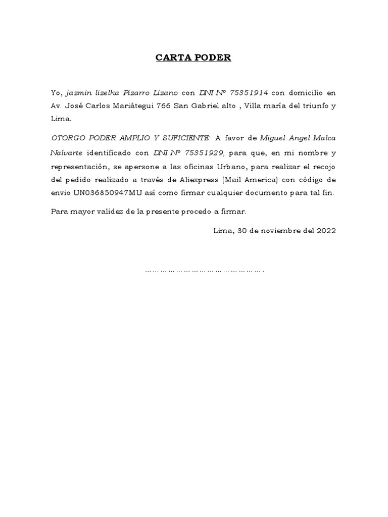 Carta Poder Modelo Simple111 | PDF | Derecho