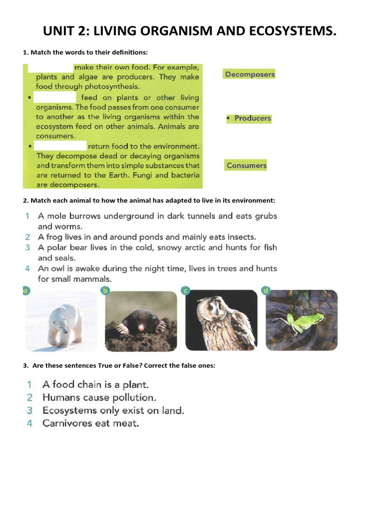 UNIT 2 Natural Science 4º Primaria | PDF