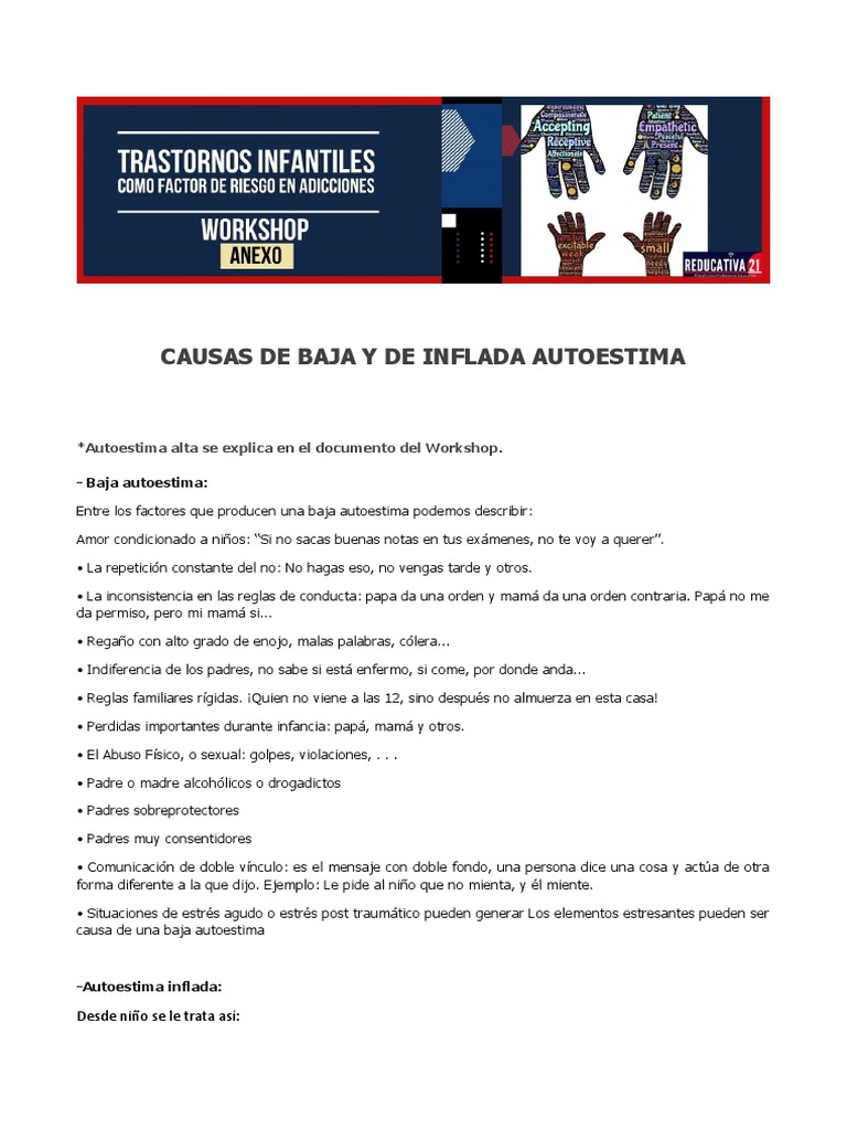 Anexo - Causas de Baja y de Inflada Autoestima | PDF