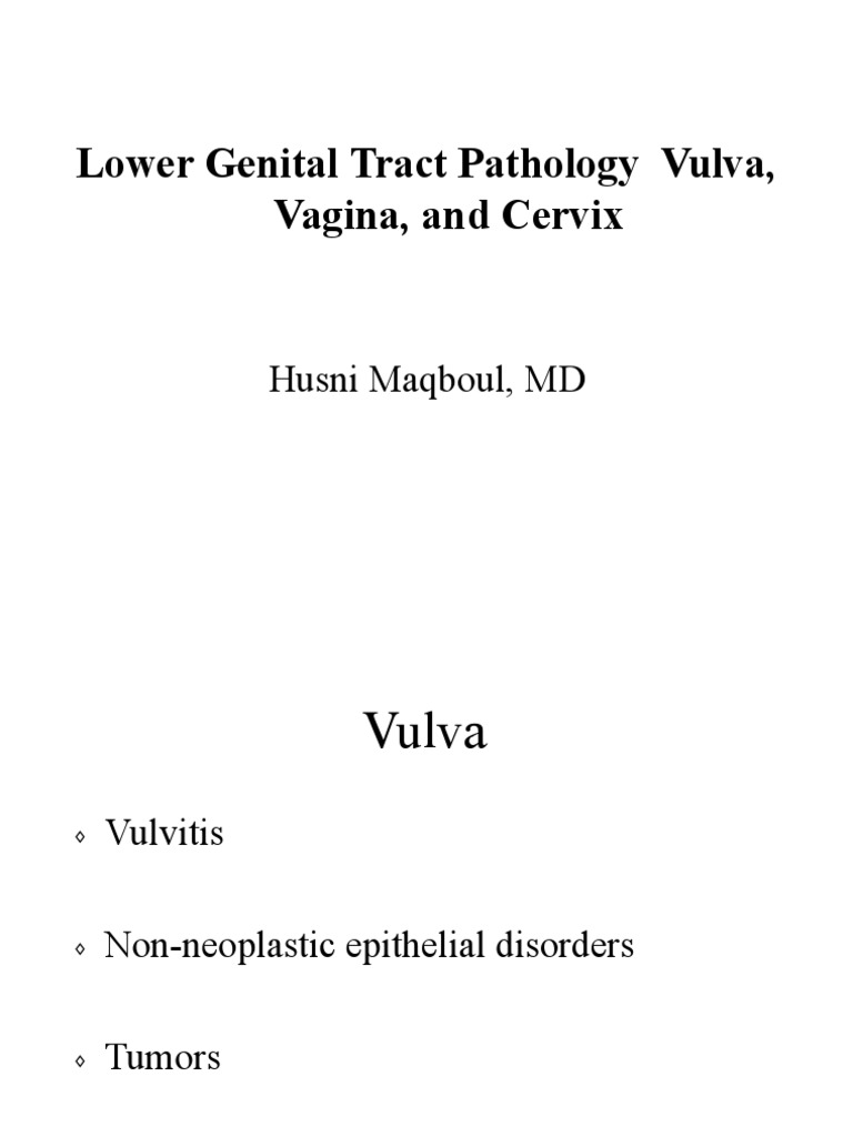 Vulva Vagina Uterus - MODIFIED PDF | PDF | Cervical Cancer | Clinical Medicine