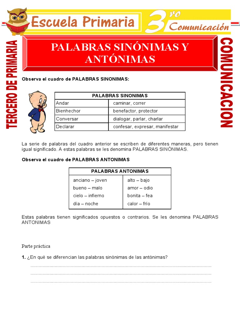 Sinónimos y Antónimos para Tercer Grado | PDF