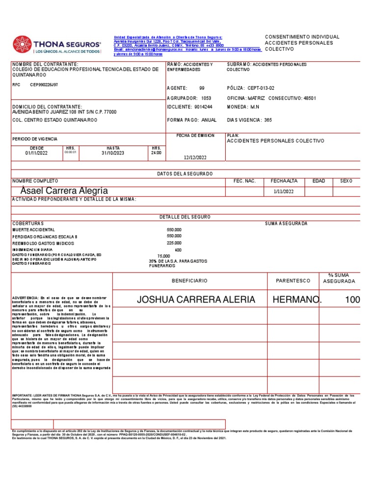 Consentimiento Individual Thona 2021-2022 Bueno - para Imprimir PDF | PDF | Seguro | Justicia