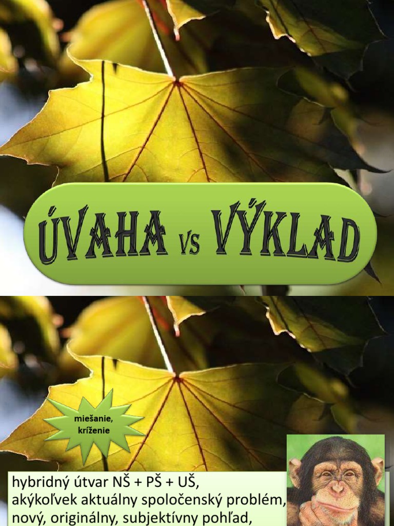 Úvaha Versus Výklad | PDF