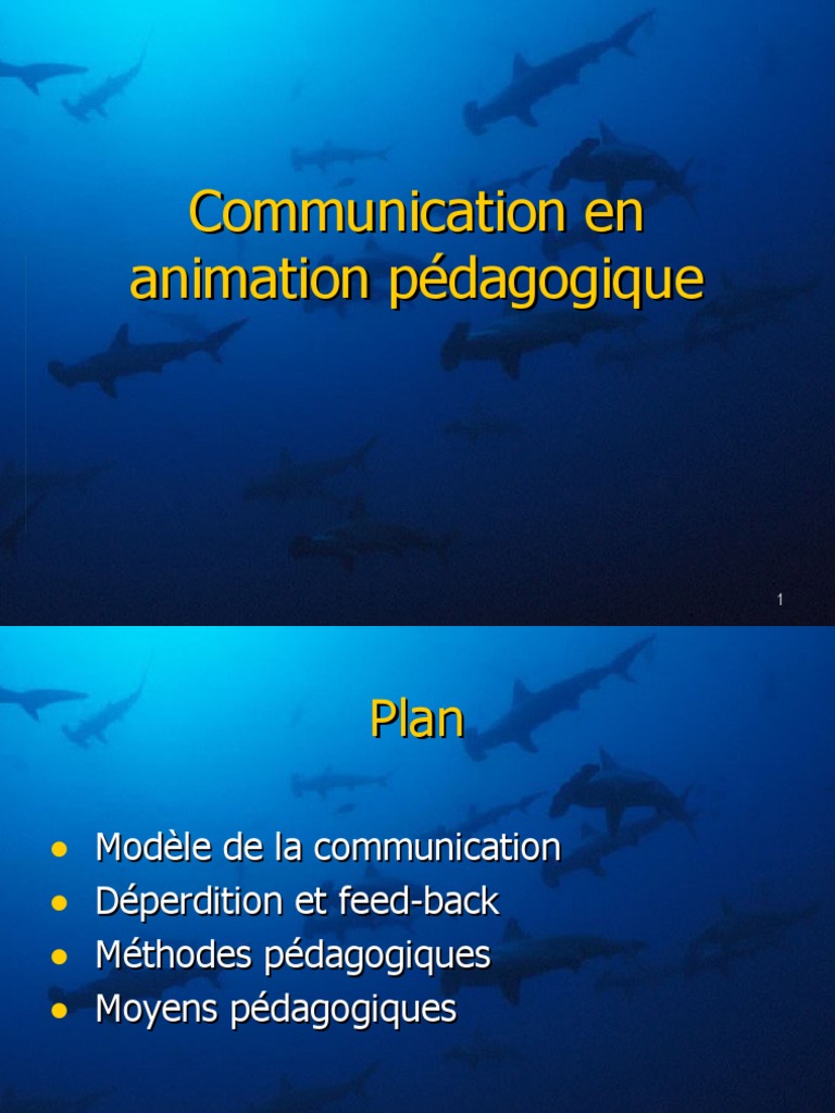 Techniques de communication en animation | PDF | la communication ...