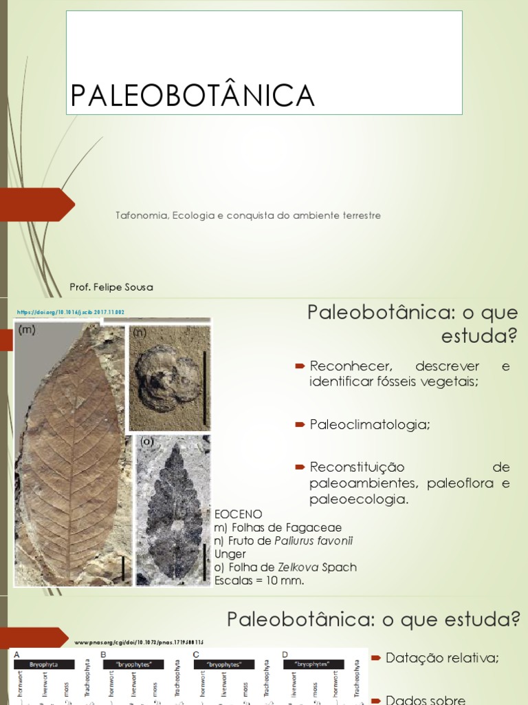 Paleobotânica: evolução e conquista do ambiente terrestre | PDF