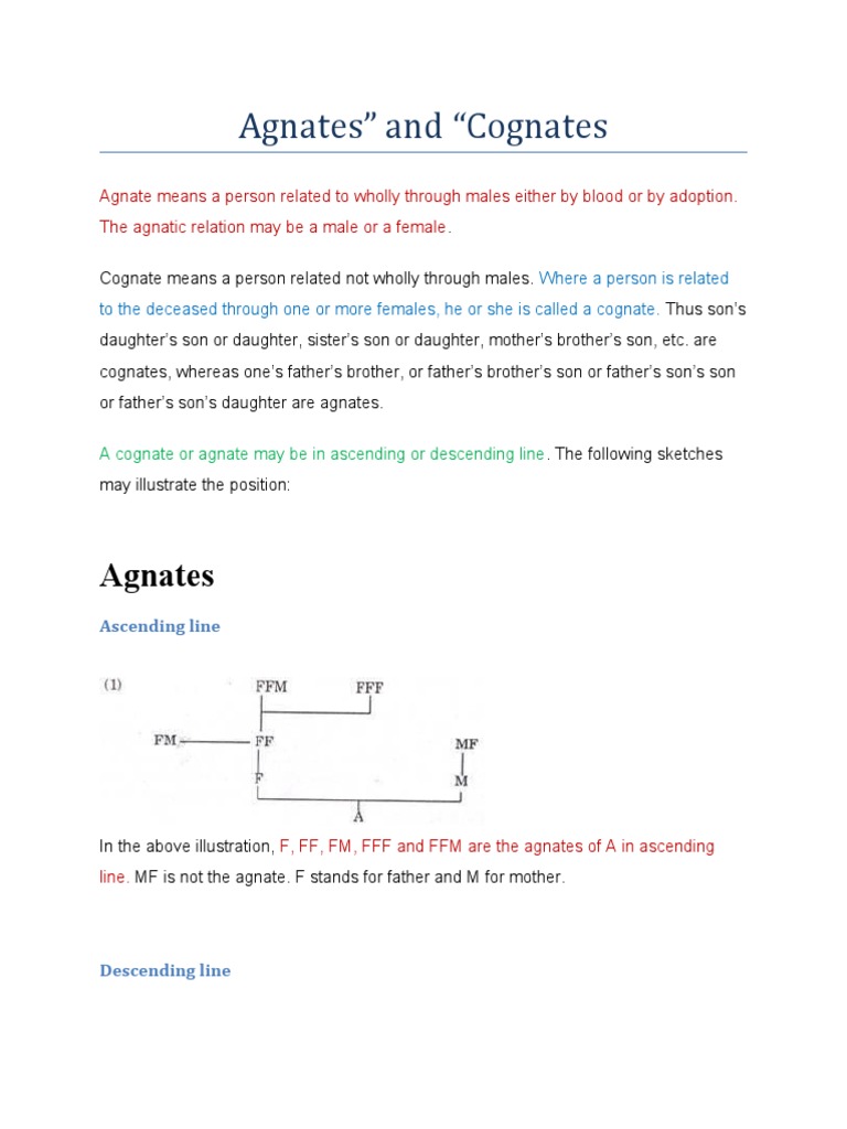 Agnate and Cognate | PDF