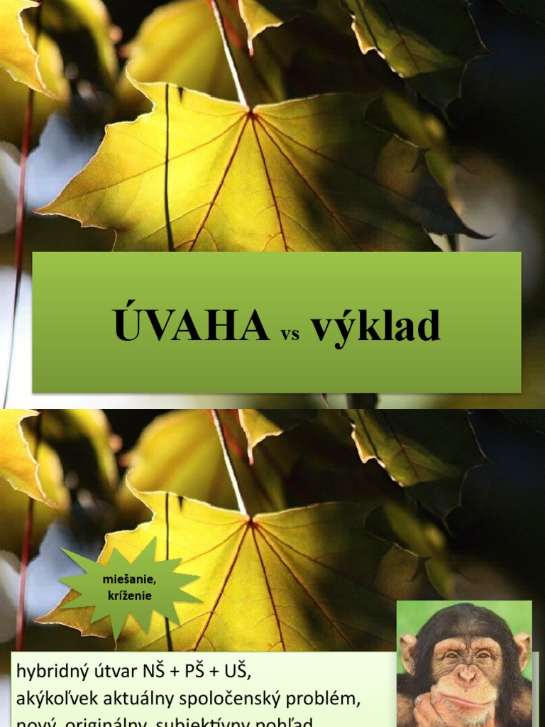 Úvaha versus výklad | PDF