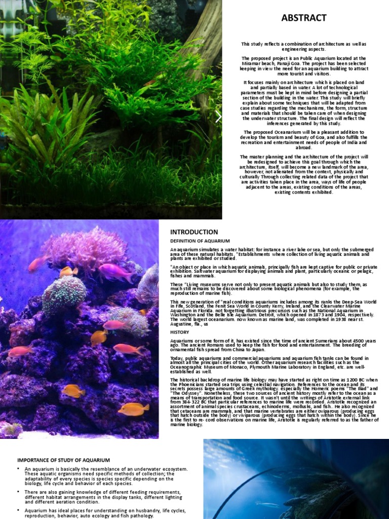 Oceanarium Thesis | PDF | Aquarium | Fish