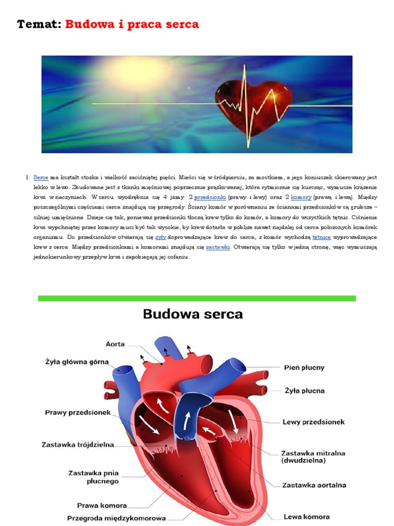 09.12.2020 Budowa I Praca Serca | PDF