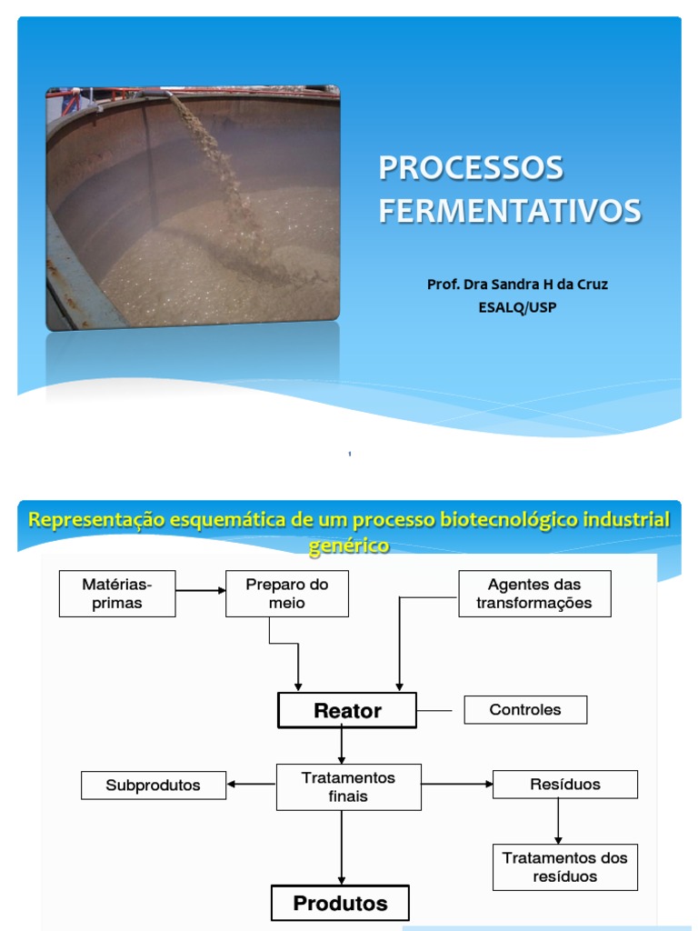 Processos Fermentativos | Download grátis PDF | Ácido pirúvico | Etanol