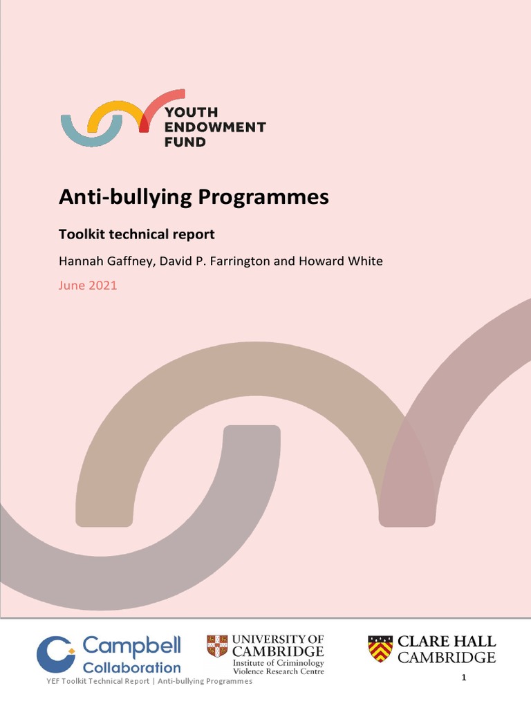 Anti Bullying Programmes Technical Report | PDF | Bullying | Violence