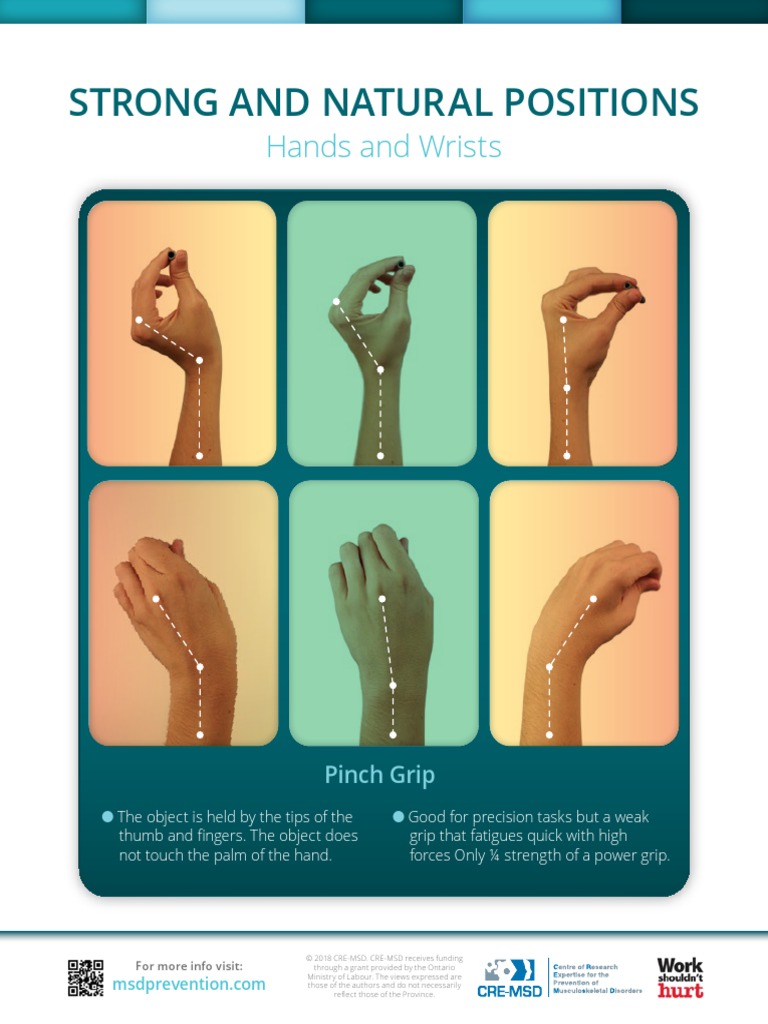 Hands and Wrists-Pinch Grip PDF | PDF