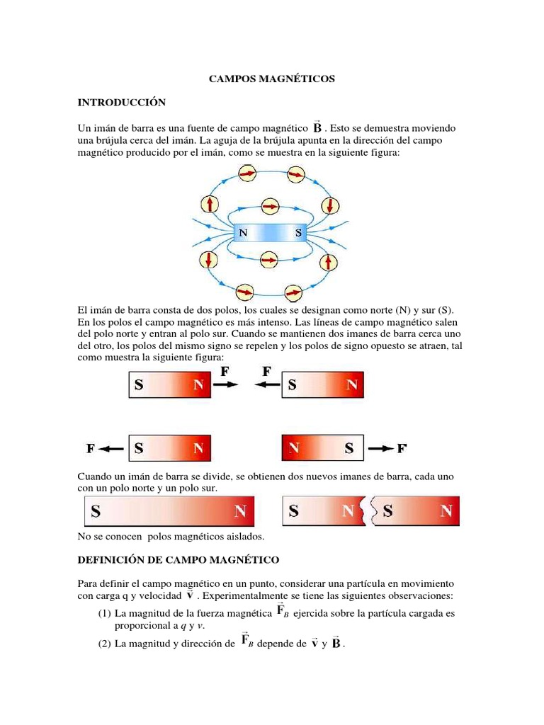 Campos Magneticos | PDF | Campo magnético | Imán