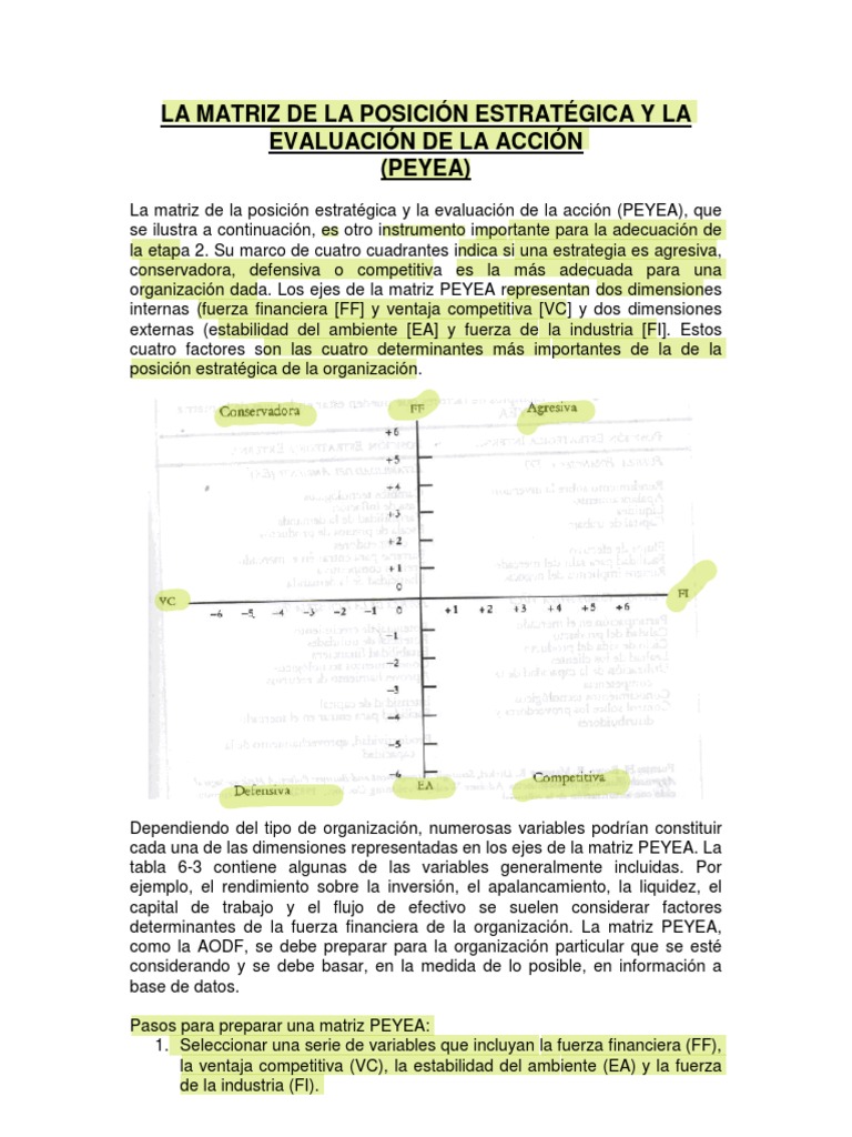 Peyea | PDF | Mercado (economía) | Matriz (Matemáticas)