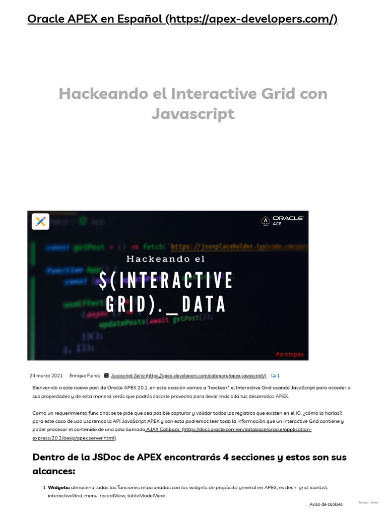 Hackeo del Interactive Grid en APEX | PDF | Script Java | Cookie HTTP