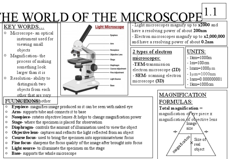 1.1 The World of The Microscope - Odp | PDF | Microscope | Equipment