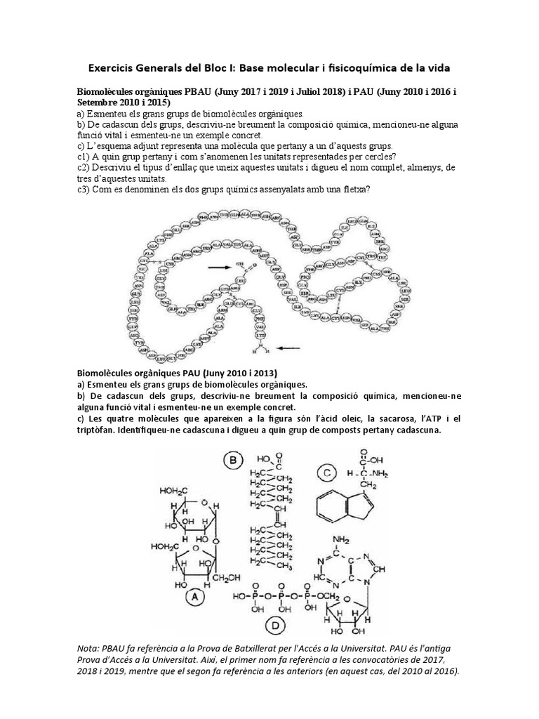 Exercicis Generals Bloc I | PDF