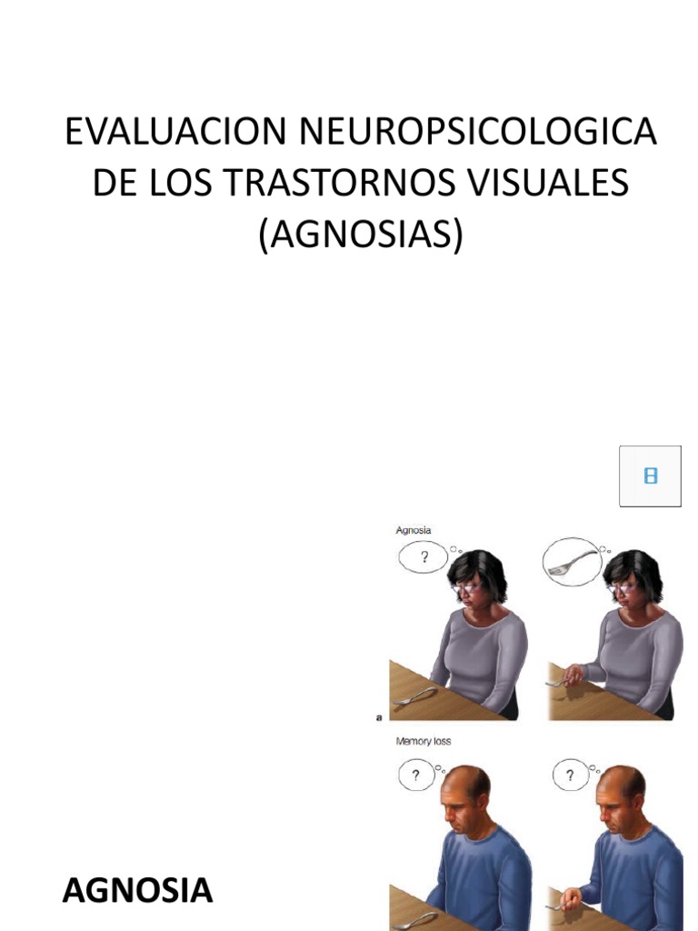 EVALUACION AGNOSIAS 2020 | PDF | Neurología | Neuropsicología