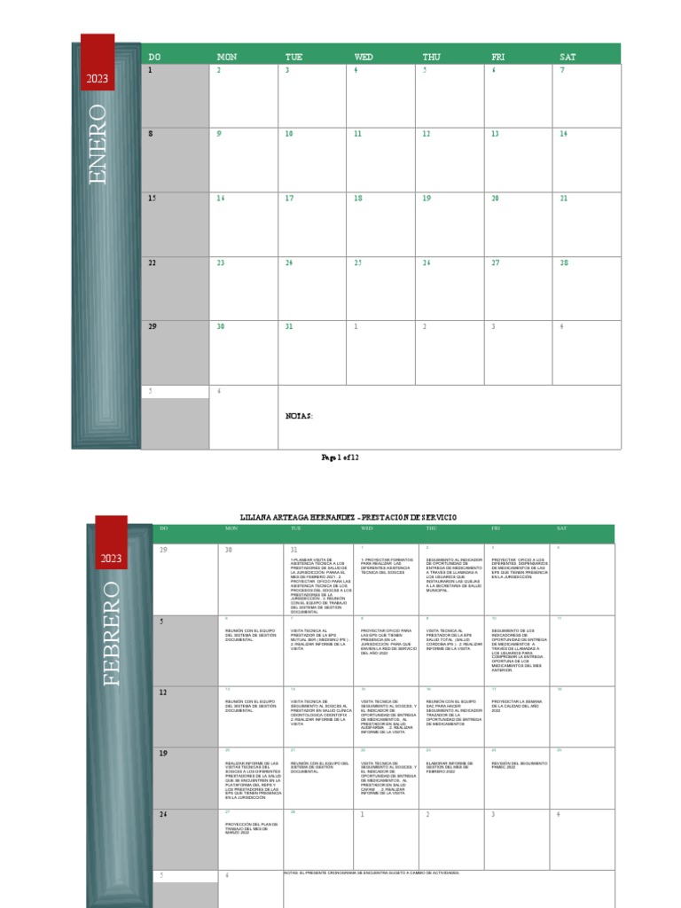 Formato Plan de Trabajo Mensual Alonso | PDF | Auditoría | Negocios ...