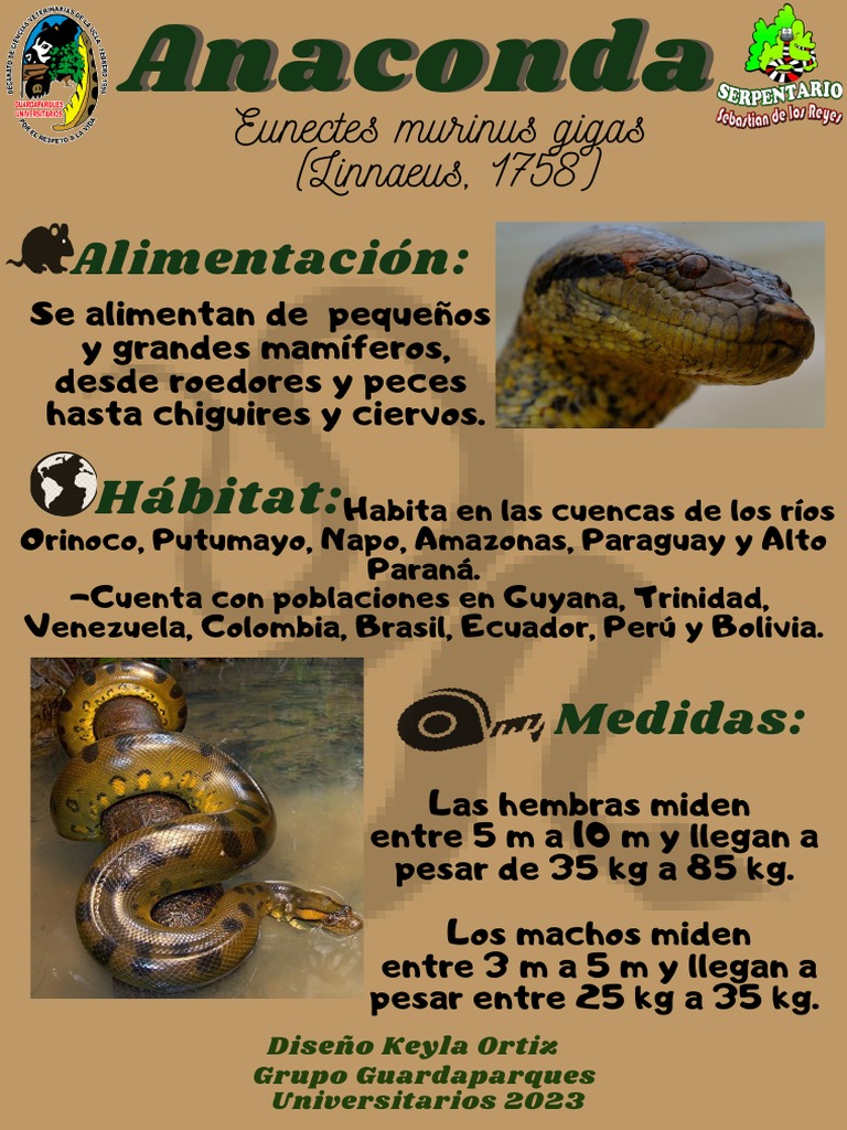 Anacondas | PDF