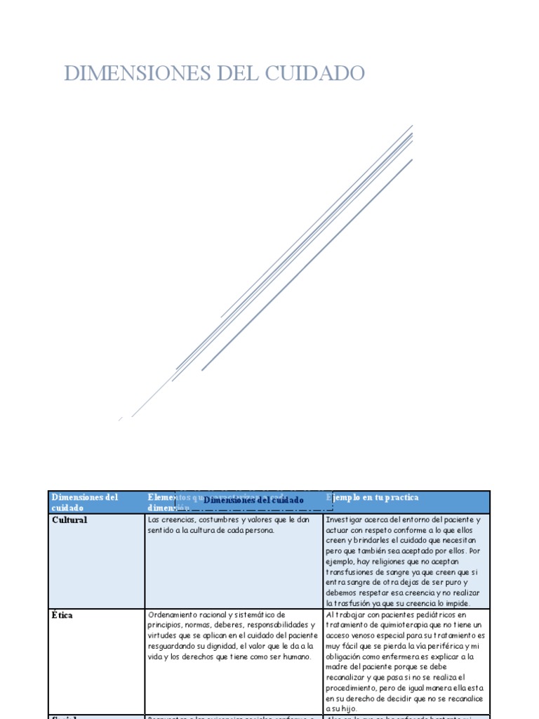 Dimensiones Del Cuidado | PDF | Enfermería