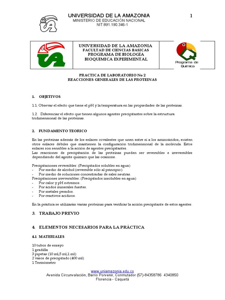 Práctica 2. Proteinas | PDF