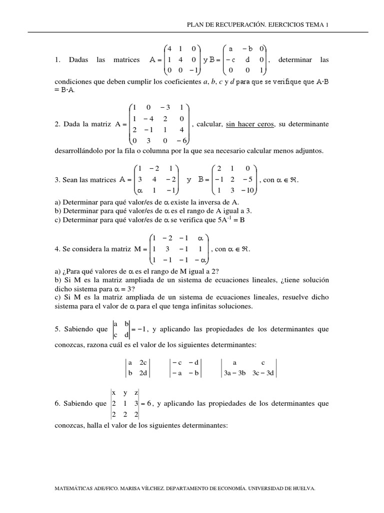 Tema 1 Mates | PDF | Matriz (Matemáticas) | Determinante