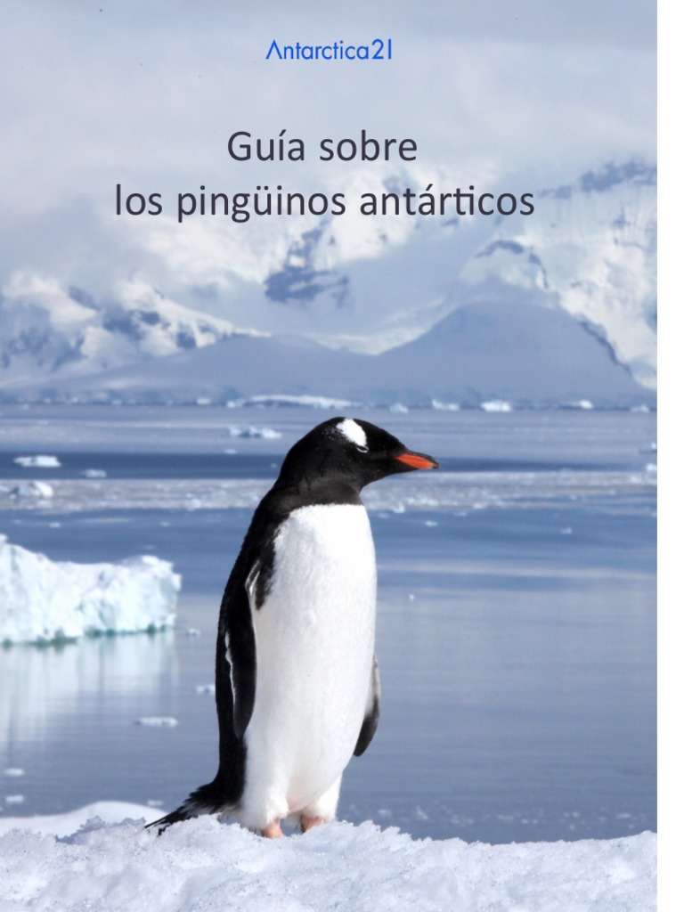 Pingüinos | PDF | Pingüino | Antártida
