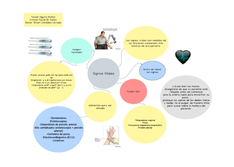 Mapa Mental Signos Vitales | PDF | Fisiología | Medicina