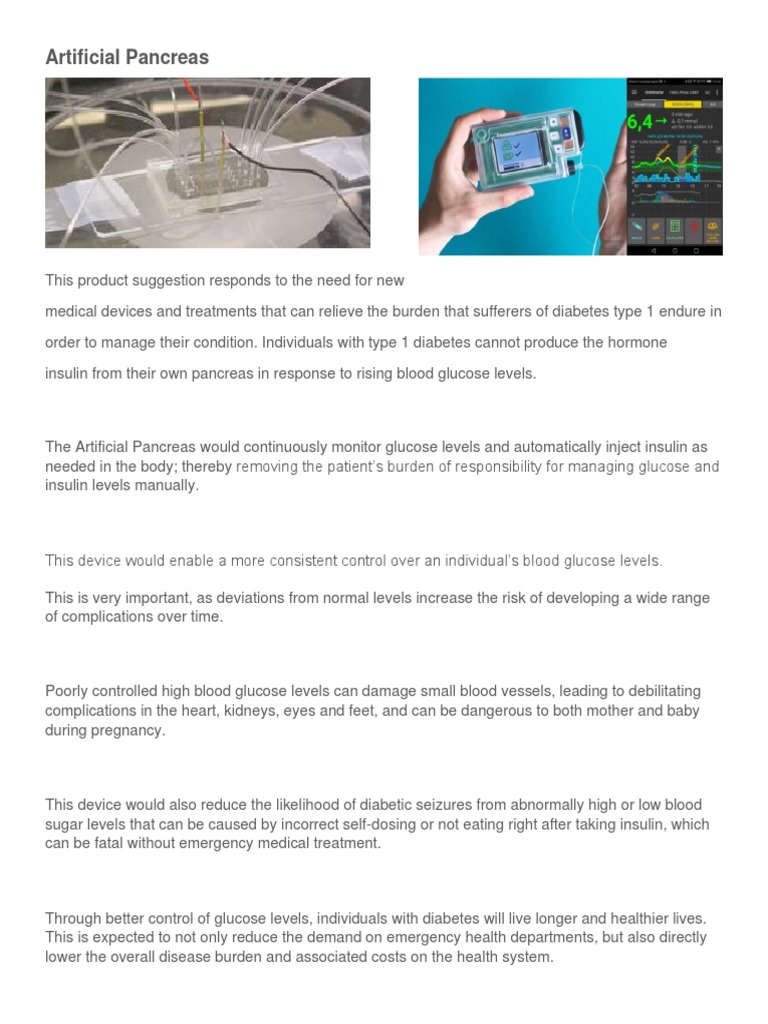 Artifical Pancreas Project Details | PDF