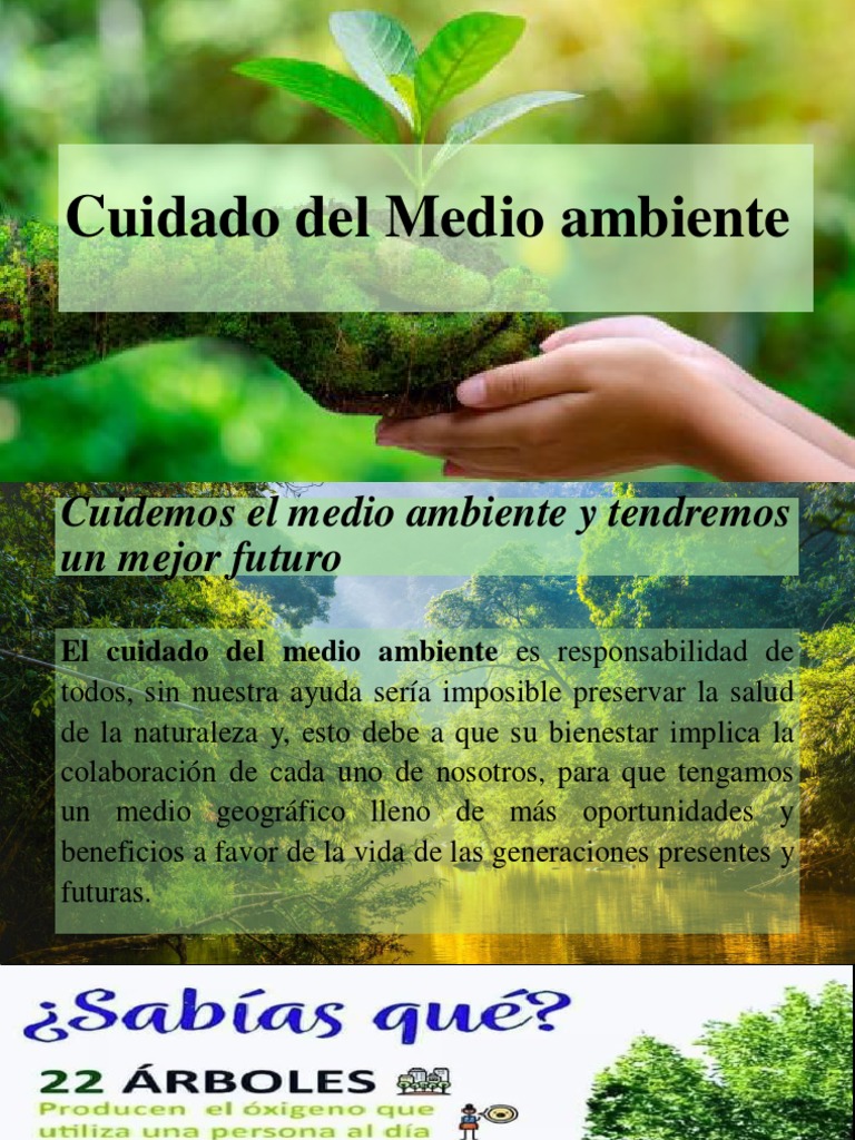 Cuidemos el Medio Ambiente Juntos | PDF