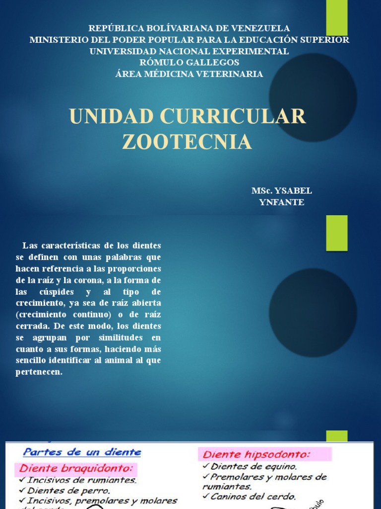 Formula Dentarias, Aplomos y Pelaje | PDF | Diente