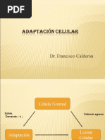 Clasificación y grados de edema | PDF | Edema | Medicina CLINICA