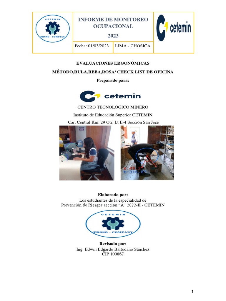 PDF Informe Final de Ergonomia | PDF | Factores humanos y ergonomía | Monitor de computadora