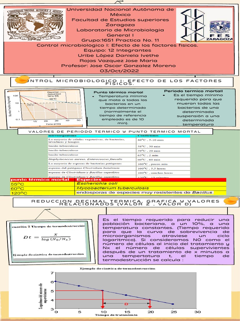 Infografia Efecto de Los Factores Fisicos en El Control Microbiano ...