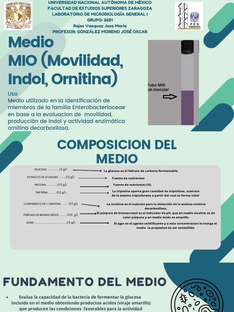 Medio MIO | PDF | Enzima | Química