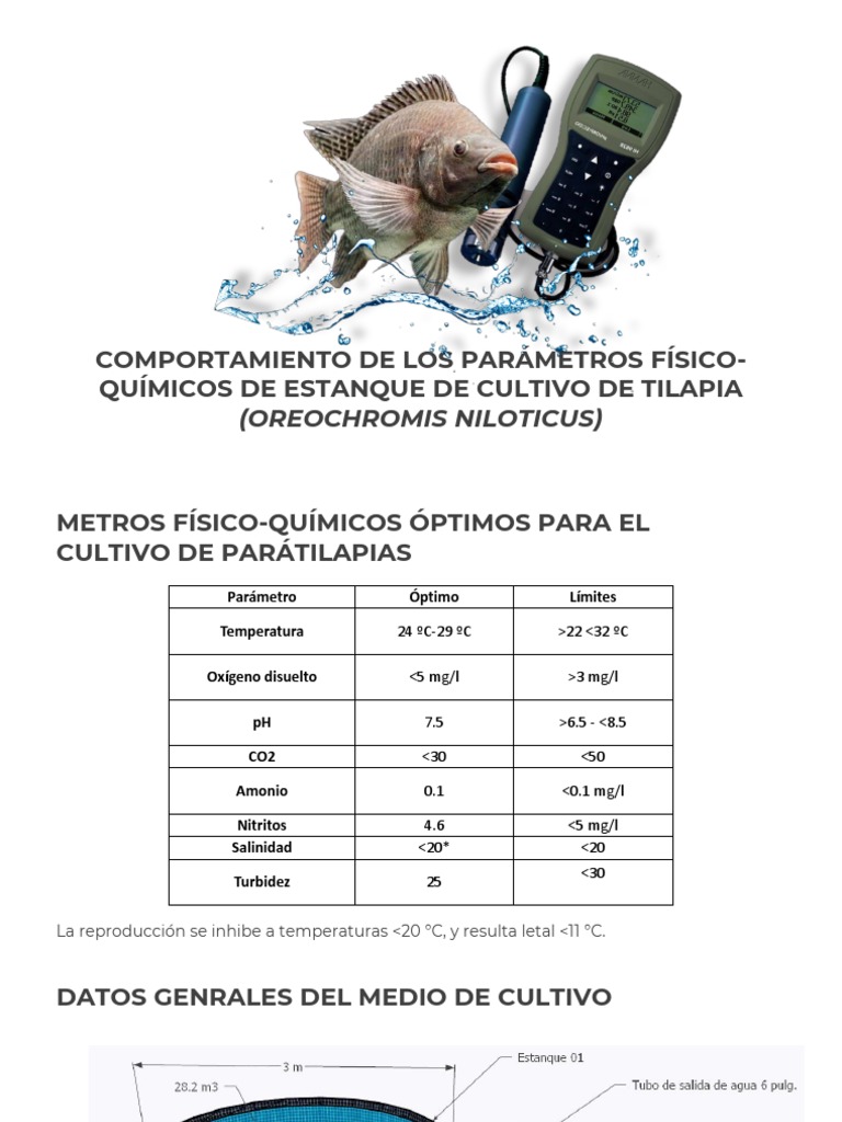 Comportamiento de Los Parámetros Físico-Químicos de Estanque de Cultivo de Tilapia (Oreochromis ...