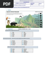 Animal Kingdom Flow Chart | PDF | Biology | Zoology