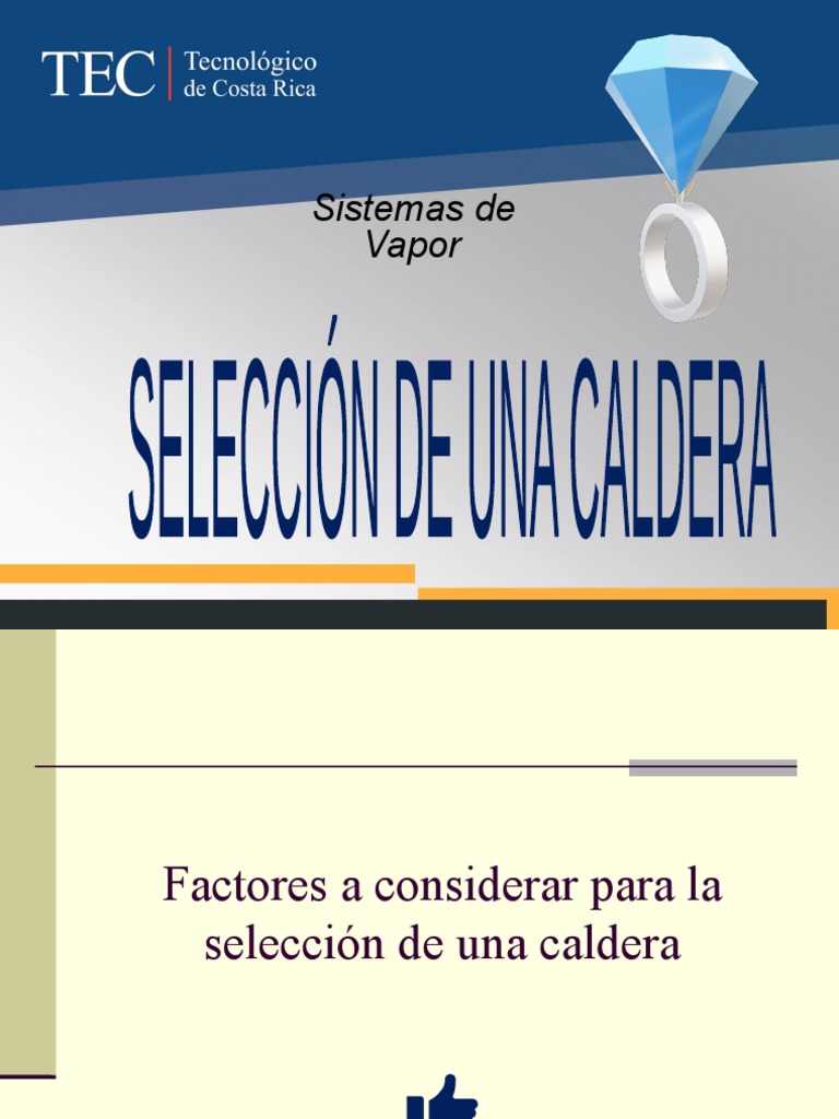 Clase Seleccion de Una Caldera | PDF | Vapor | Caldera