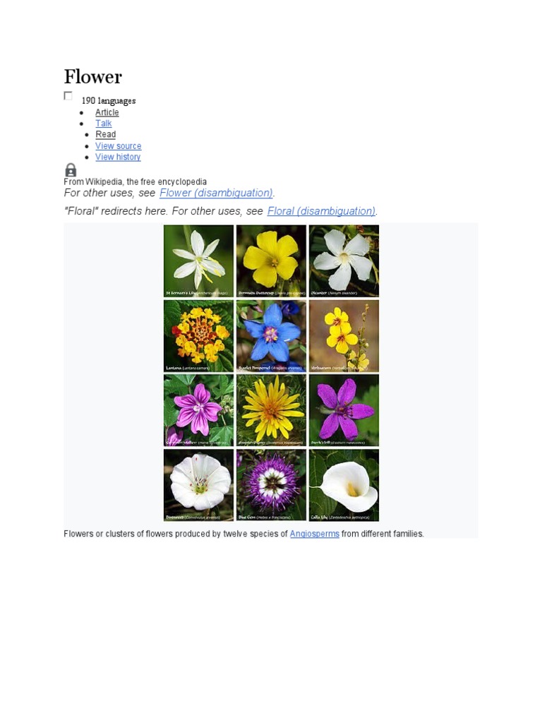 190 Languages About Flowers | PDF | Flowers | Petal