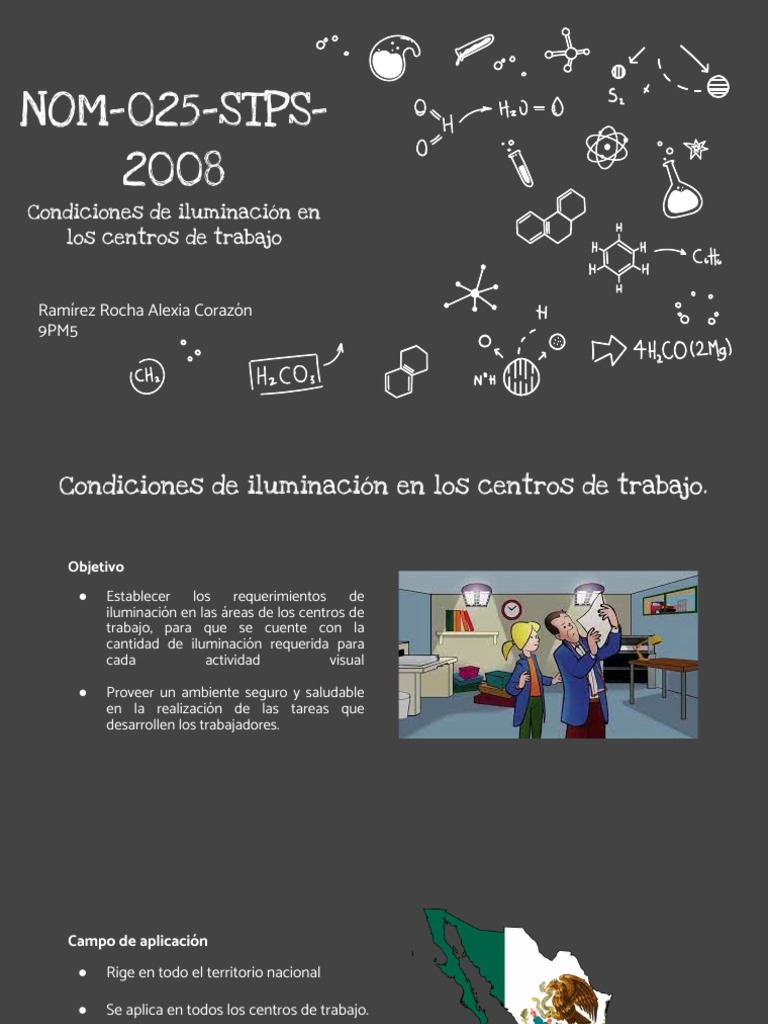 Nom 025 STPS 2008 | PDF