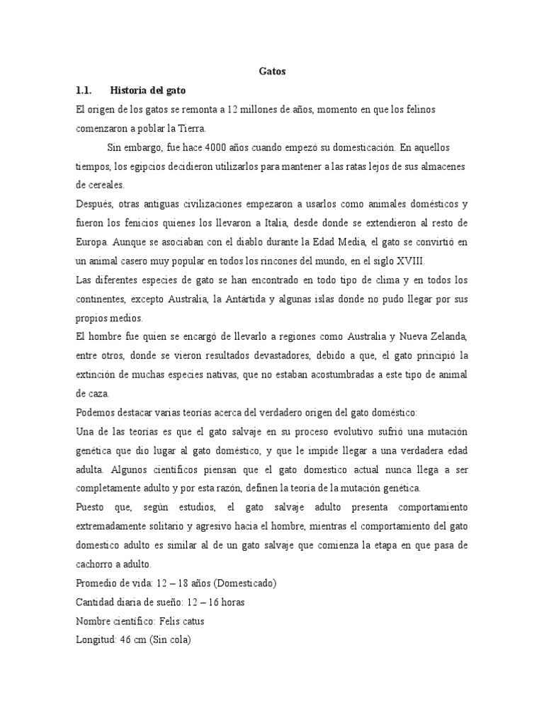 Gatos Pdf Gatos Felinos