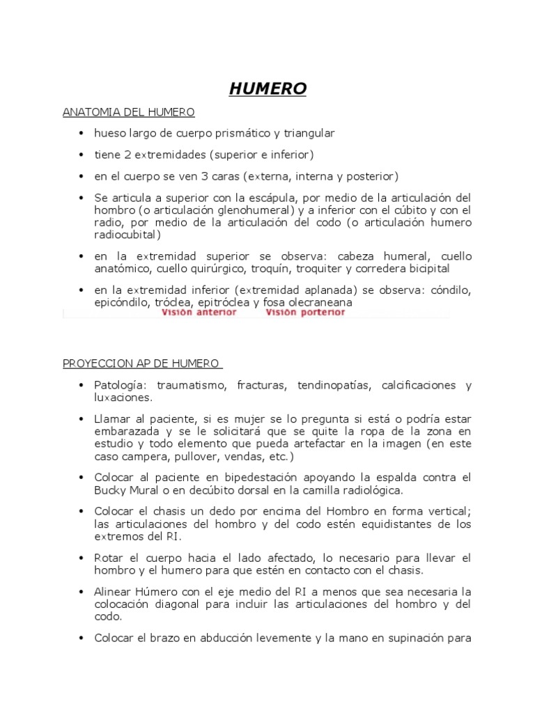 HUMERO y CODO | PDF | Codo | Hombro HUMERO y CODO | PDF | Codo | Hombro