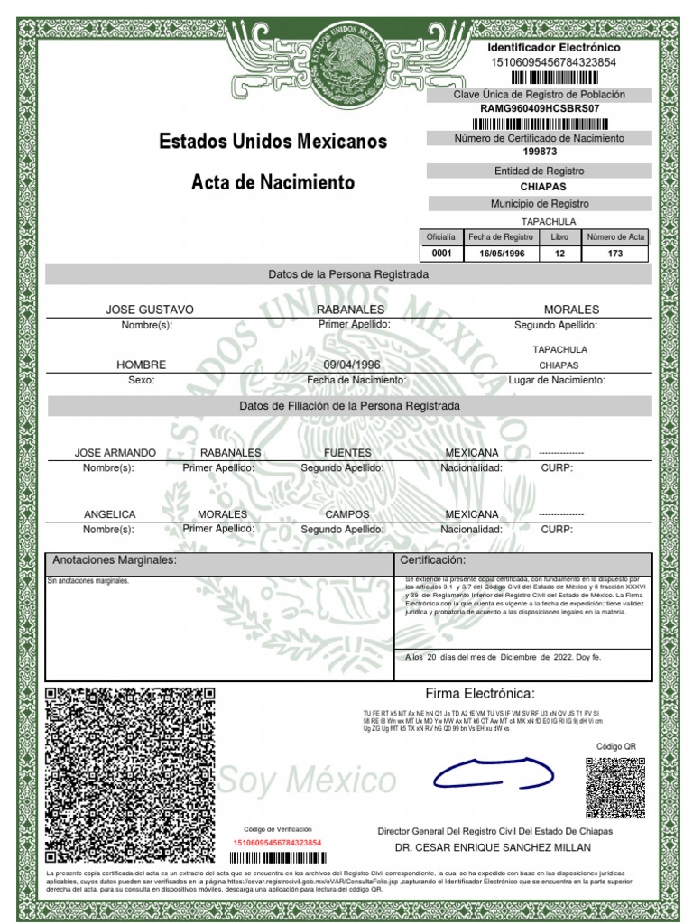 Acta de Nacimiento Mexicana Editable | PDF | Control (social y político) | Documentos legales