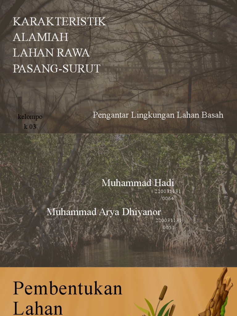 Karakteristik Lahan Rawa Pasang Surut | PDF