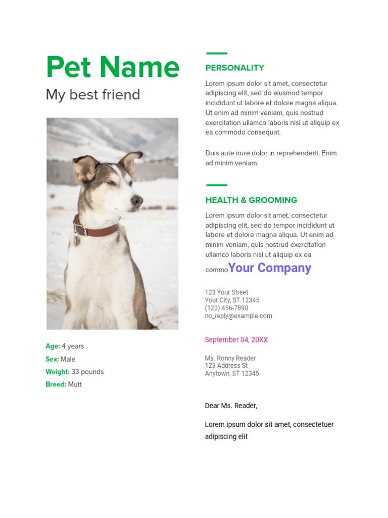 Pet resume | PDF