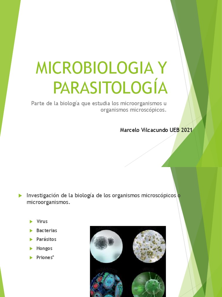 MICROBIOLOGÍA | PDF | Las bacterias | Virus