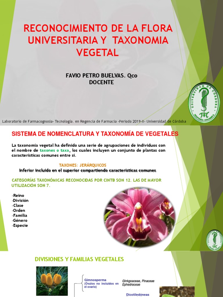 Taxonomía Vegetal e Importancia | PDF | Taxonomía (biología) | Plantas